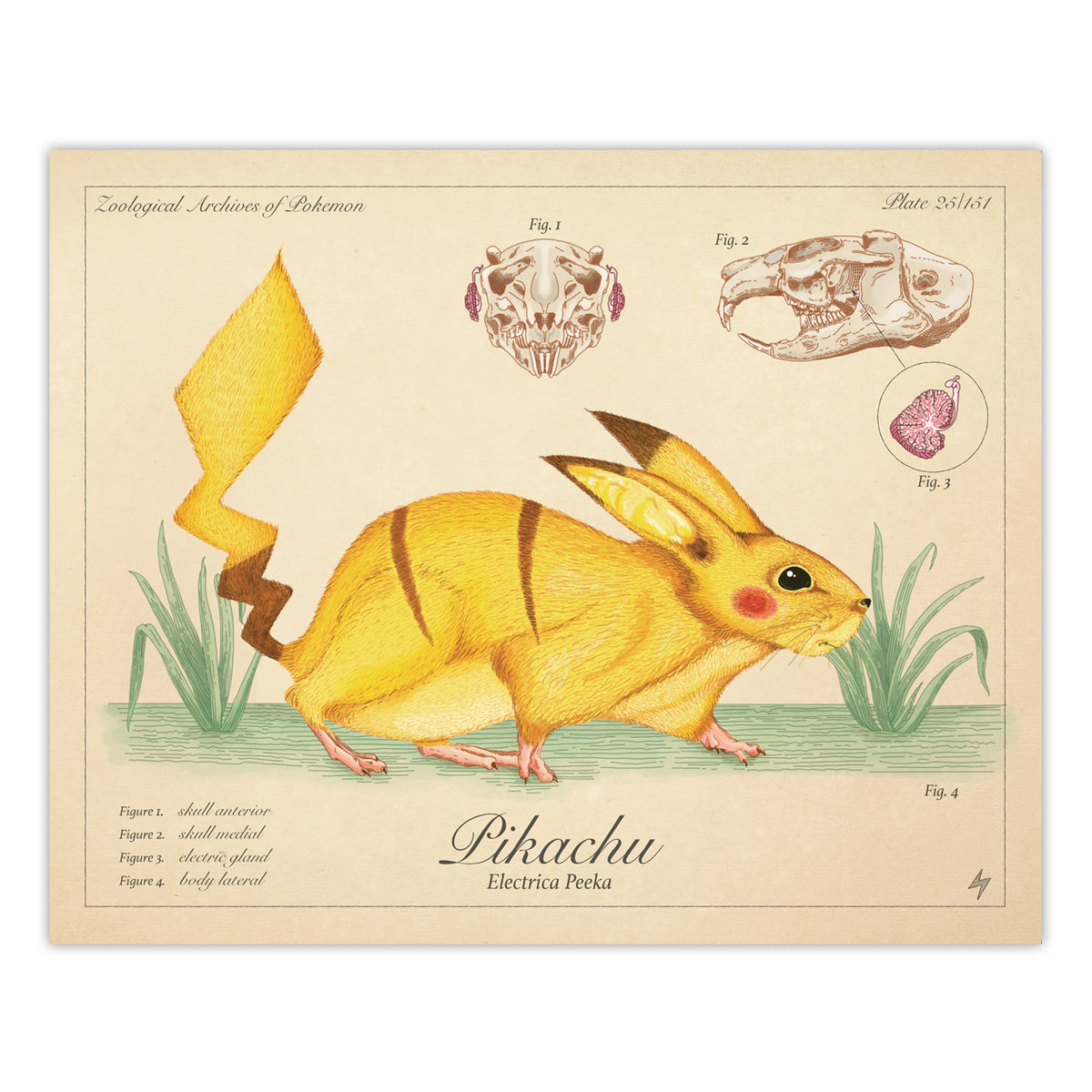 Pikachu - Vintage Style Pokemon Print - 8x10 or 16x20 inches – KnerdKraft