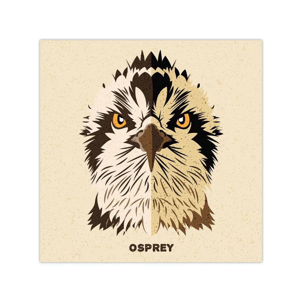 Osprey - Graphic Icon Print - 8x8 – KnerdKraft